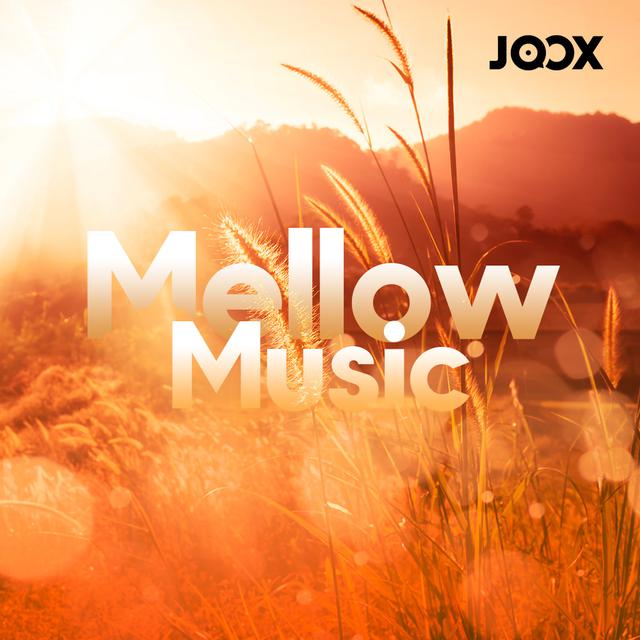 Mellow Music Playlist Download MP3